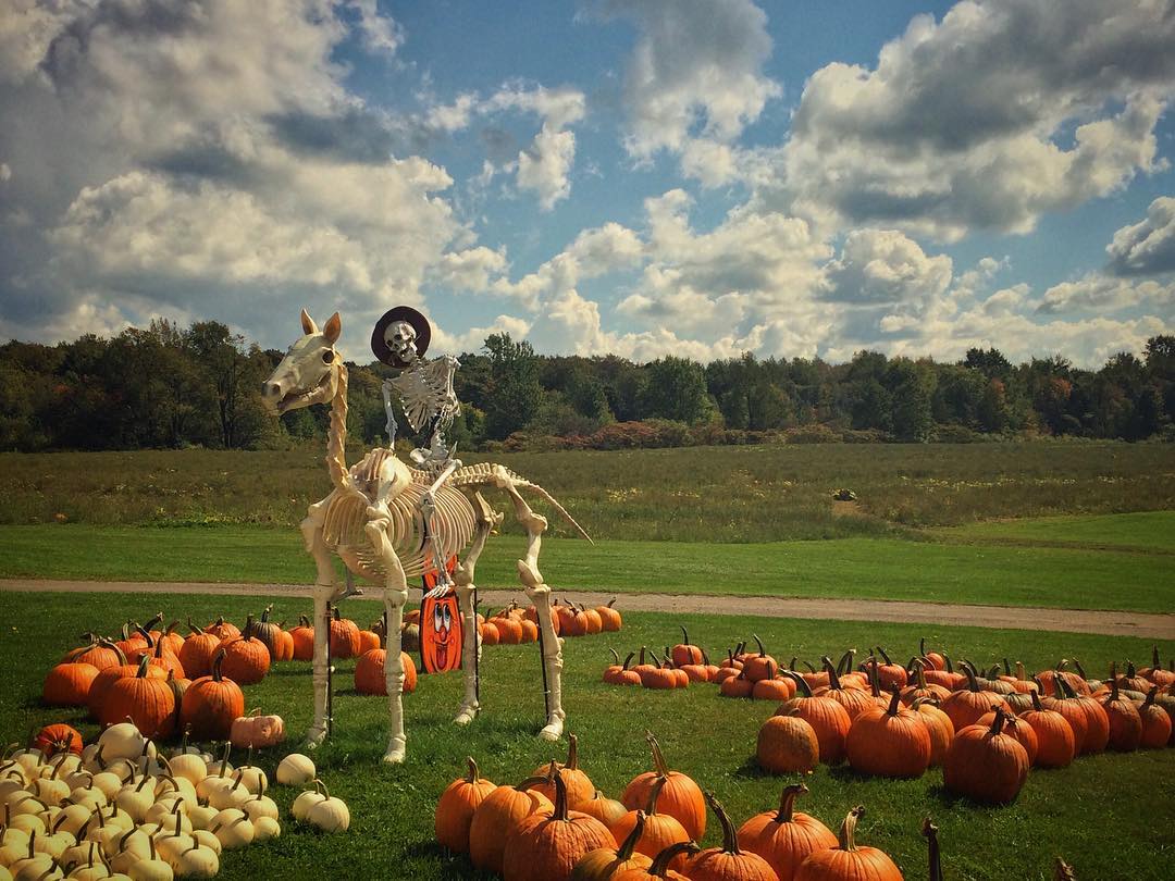 Embrace the Beauty of Fall: Oneida County's Must-Try Activities ...