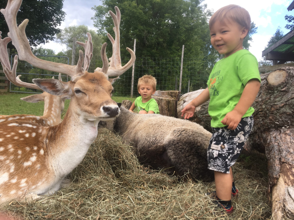 Discover the Magic of Fall in Oneida County, NY - Oneida County Tourism