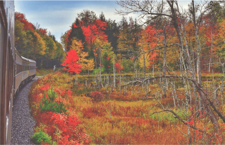 Discover the Magic of Fall in Oneida County, NY - Oneida County Tourism