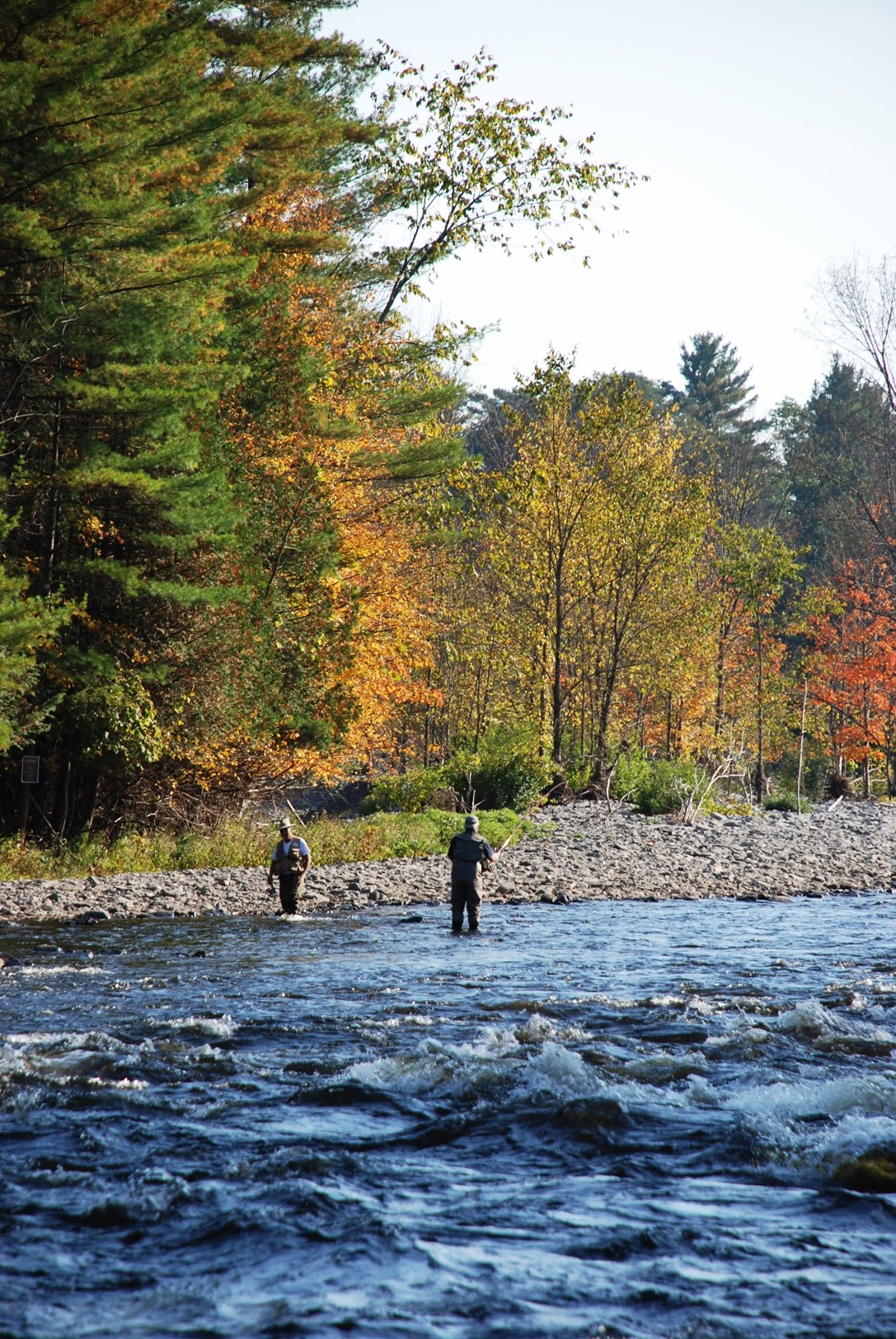 Discover the Best Fishing Spots in Oneida County, NY - Oneida County ...
